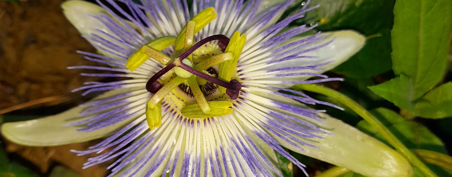 Межкультурное