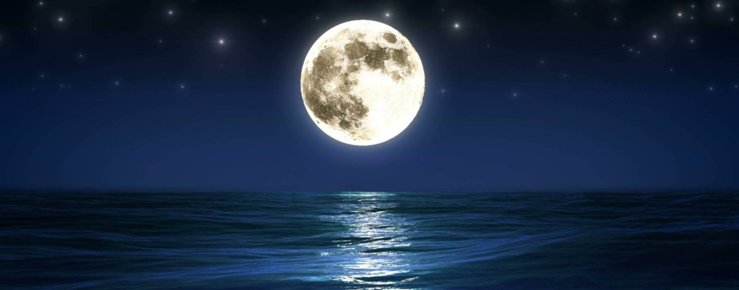 *Всё и обо всём*