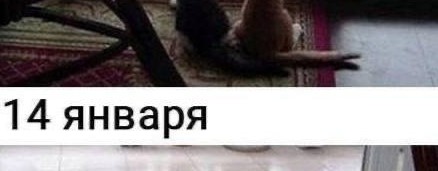 Марго Линь!