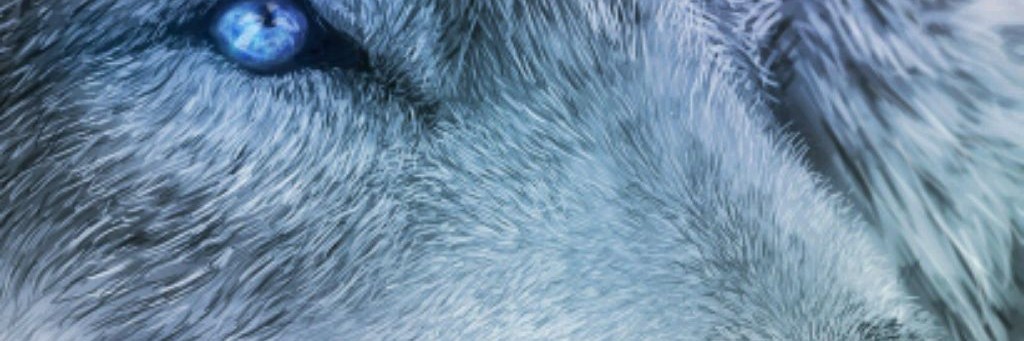 Андрей Таран.Bonum Factum. Благо и Счастье.