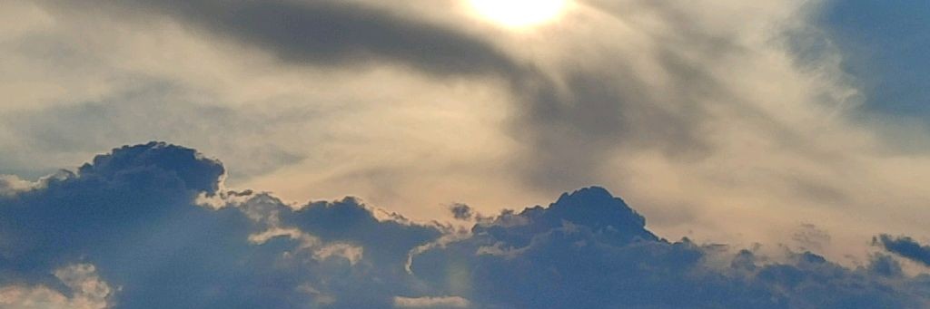 Дачный Экспресс 🌱🍅🌶️🍆🌹