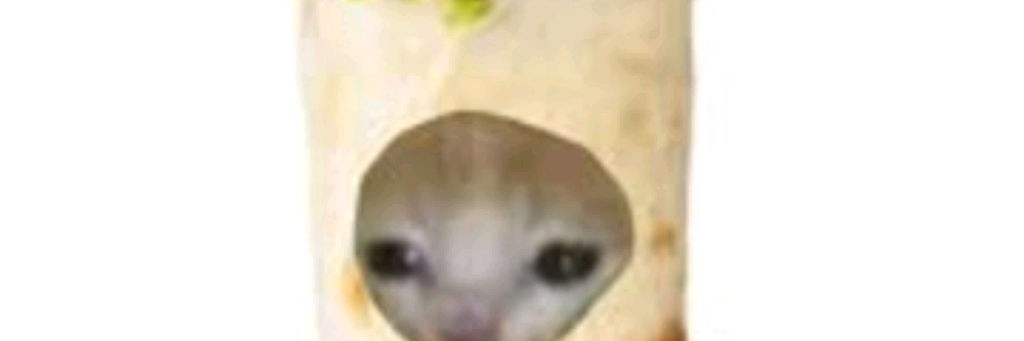 Славянский даниил 2.0