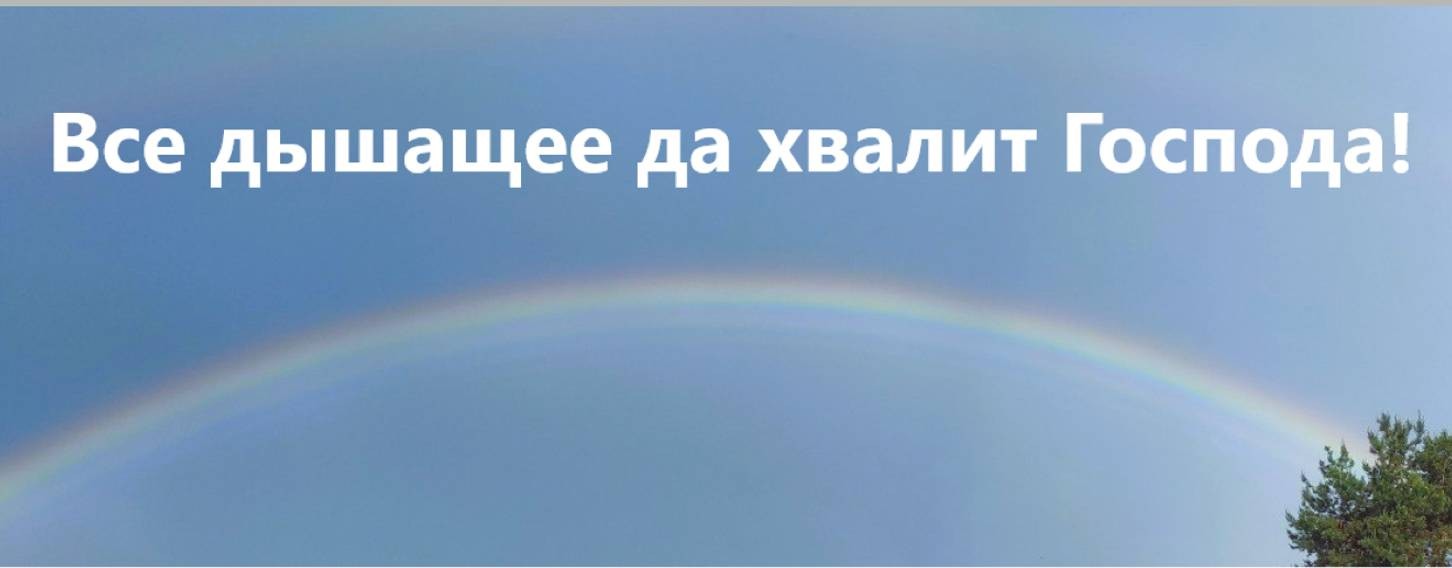 Фомины Евгений Марина Мария Дарья