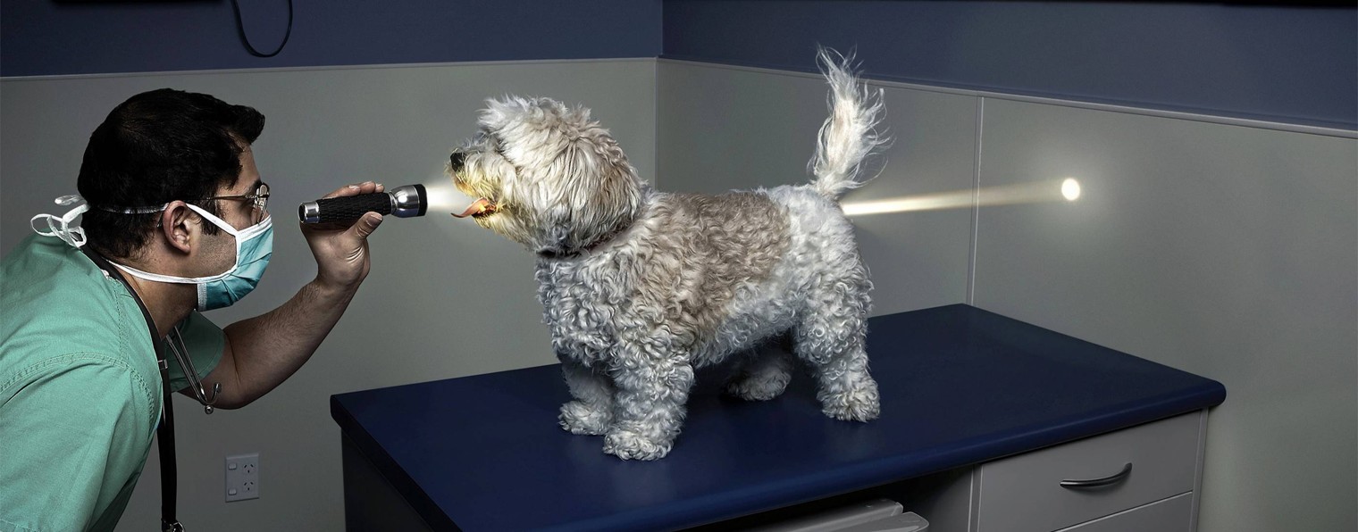 ЮМОР ЧЕКУН ДМИТРИЙ