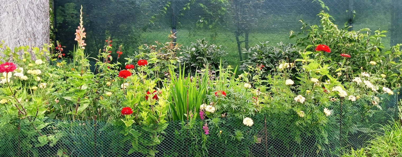 7 соток в Подмосковье