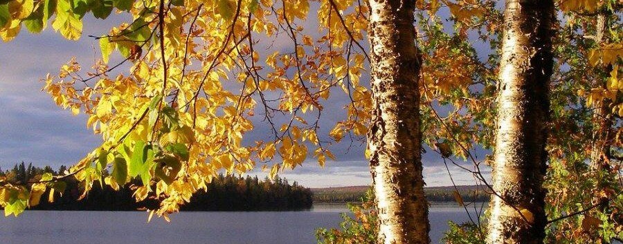 СТЕЛЛА НОРД