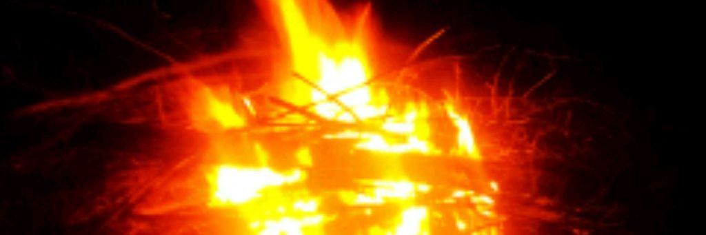 Теневой ниндзя  🥷🏻