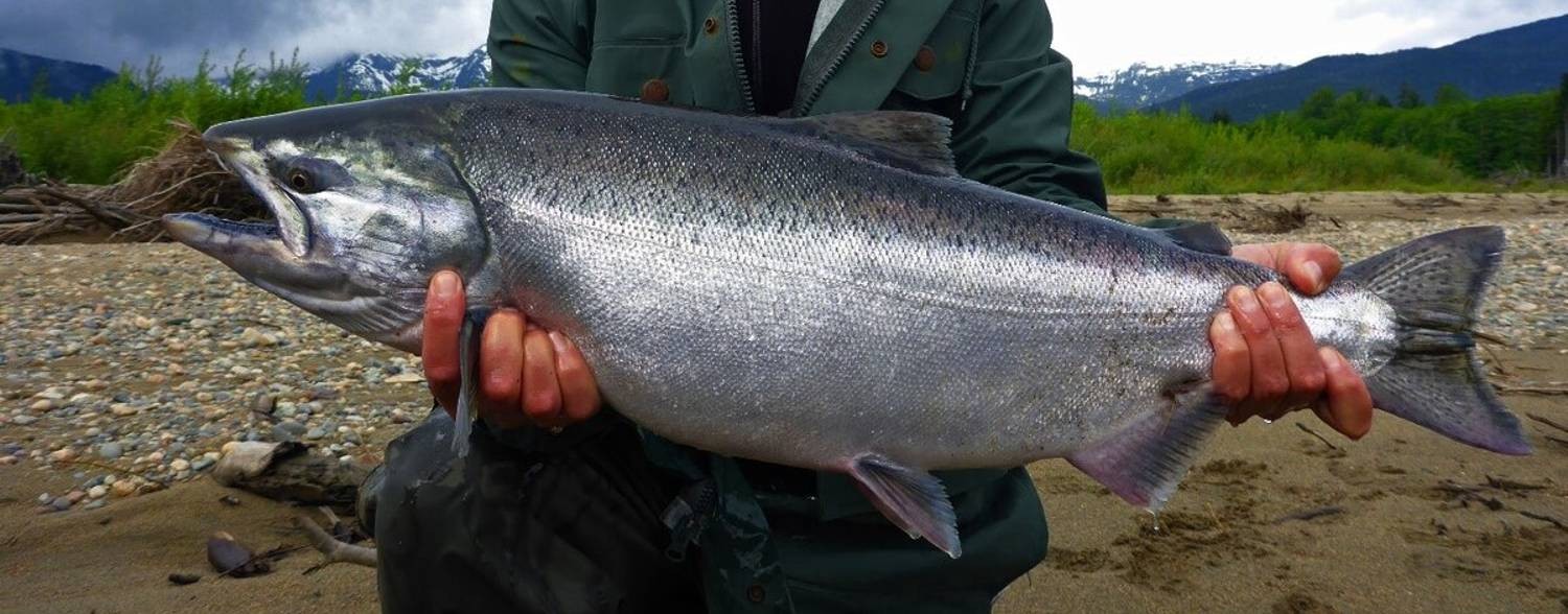 РАГОЖНИК | RAGOZHNIK | РЕАЛЬНАЯ РЫБАЛКА 2