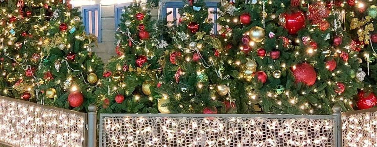 Иерей Димитрий Овчинников