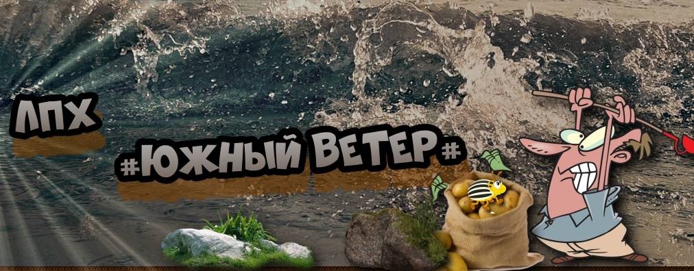ЛПХ #ЮЖНЫЙ ВЕТЕР#