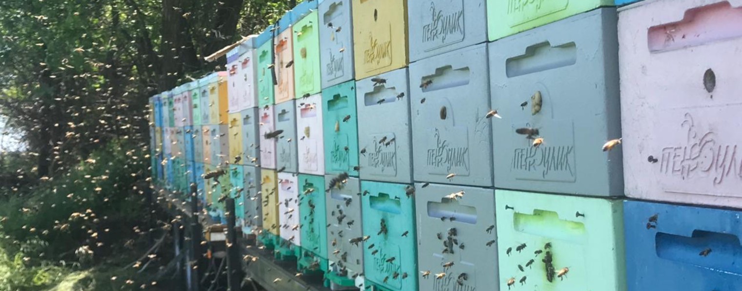 Евгений Кунгурцев & co.