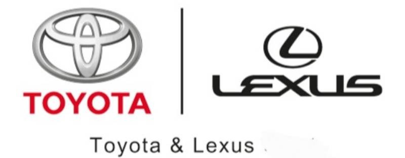 Студия техобслуживания автомобилей. Раевская.