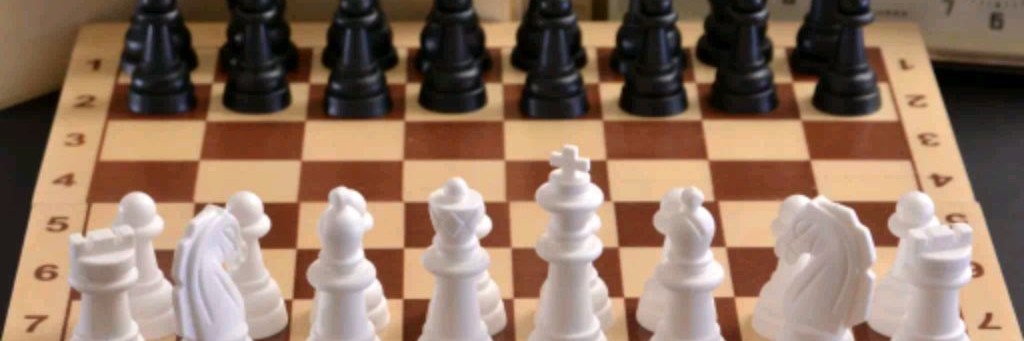 EgorChessKing