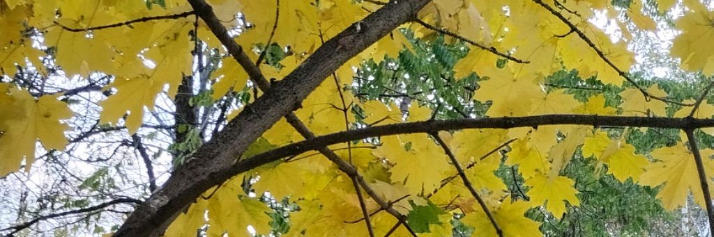 Uncle Kolya /Дядя Коля/