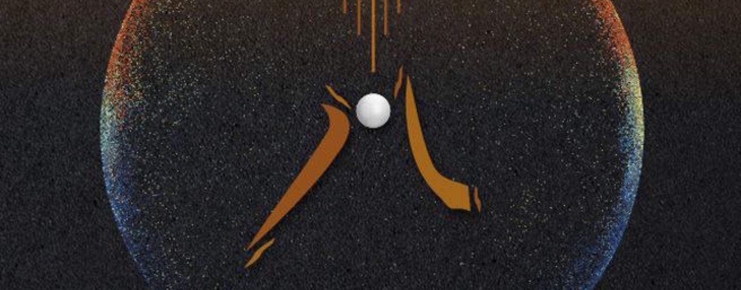 Дарья Писаревская