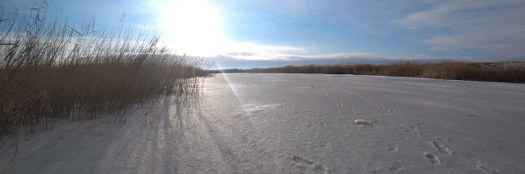 ДОНСКОЙ ТРОФЕЙ !