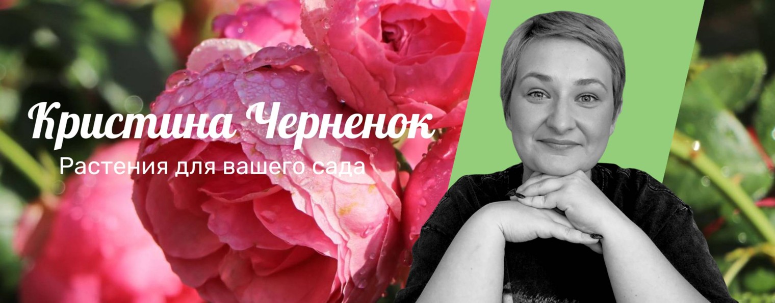 Кристина Черненок