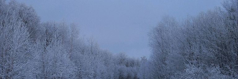 Приманки "Путик". Охота И Промысел