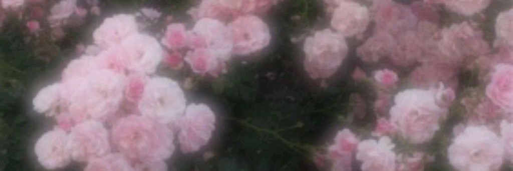 ダイアナしゅかえわ