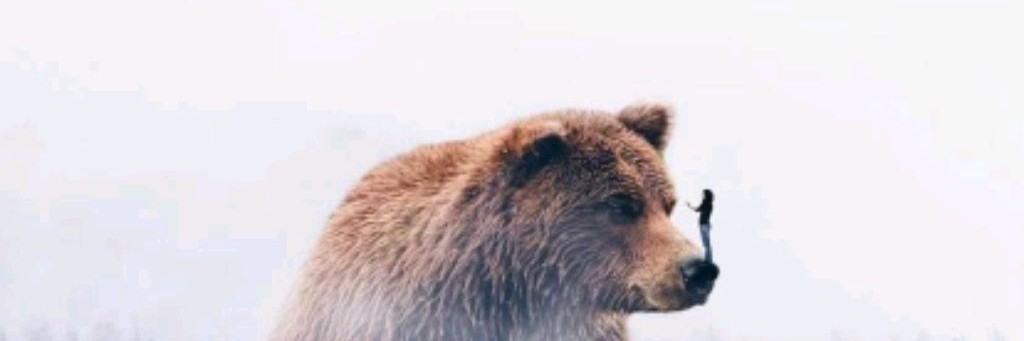 На просторах Якутии