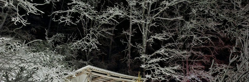 Денис Хорев