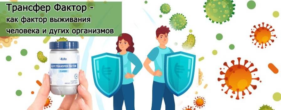 Умный иммунитет