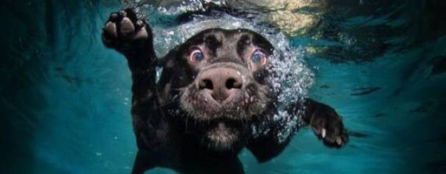 Смешно смеяться)