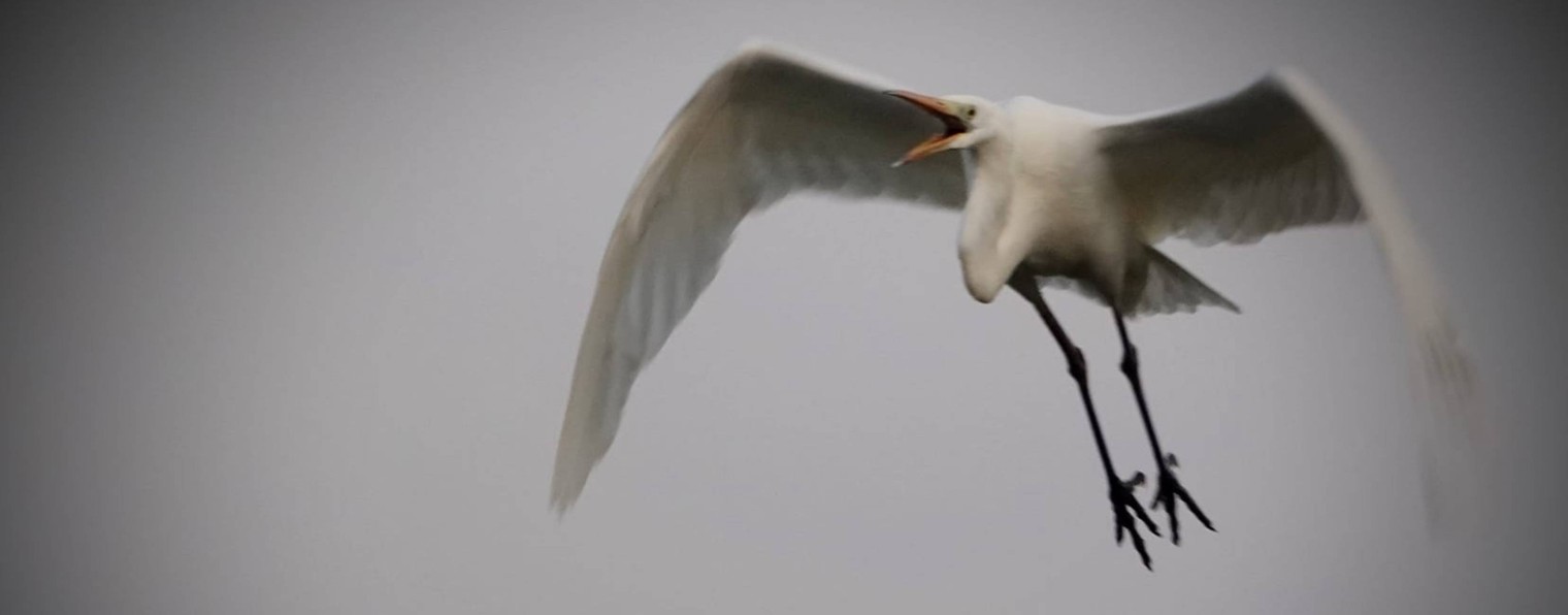 Витающий в облаках