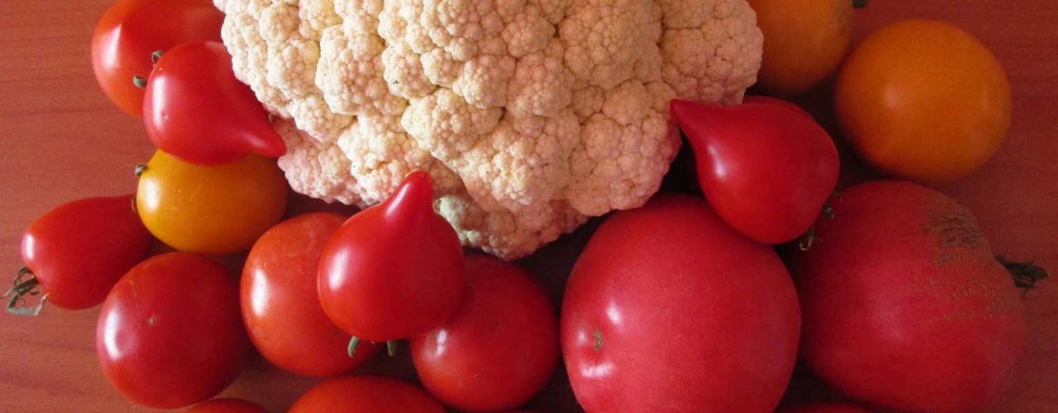 Дачные секреты.Каменск-Уральский