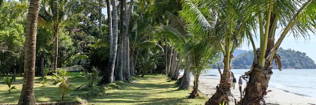 Thaimassagesokolskaya