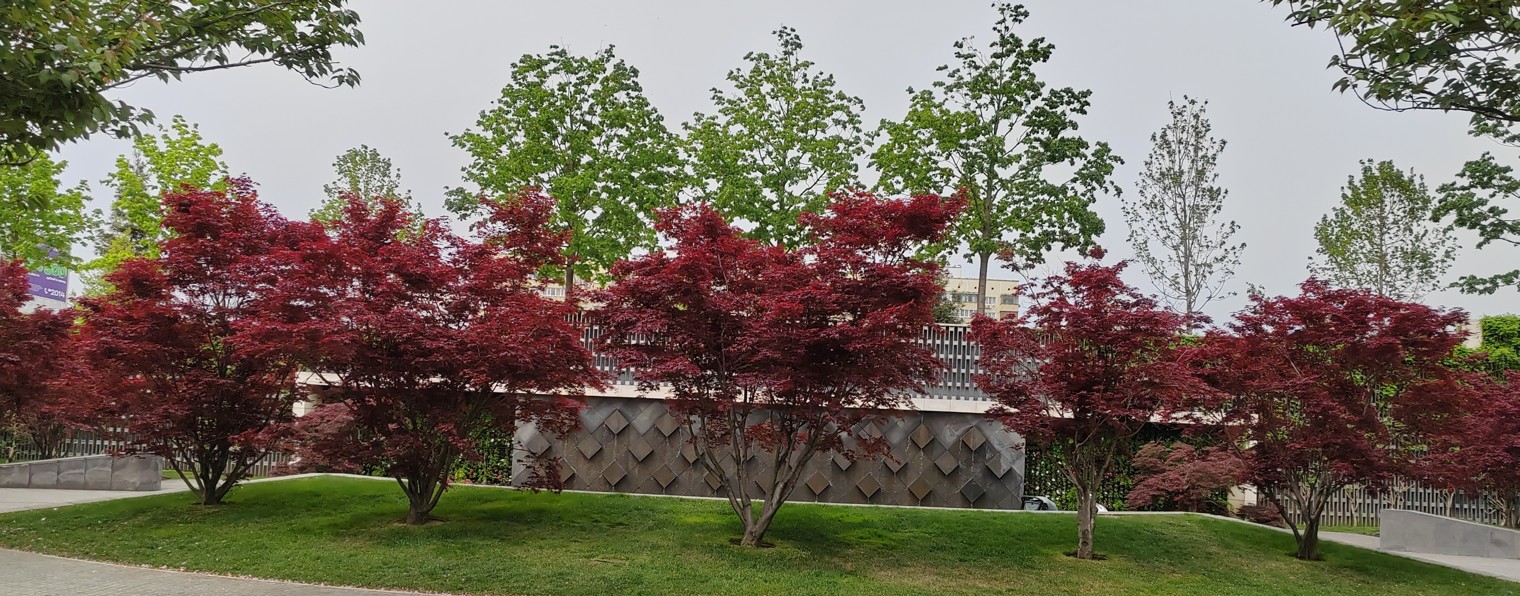 Всё и обо Всём