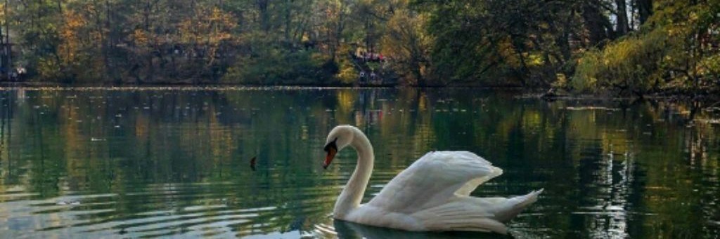 Живые помощи - живым в помощь.