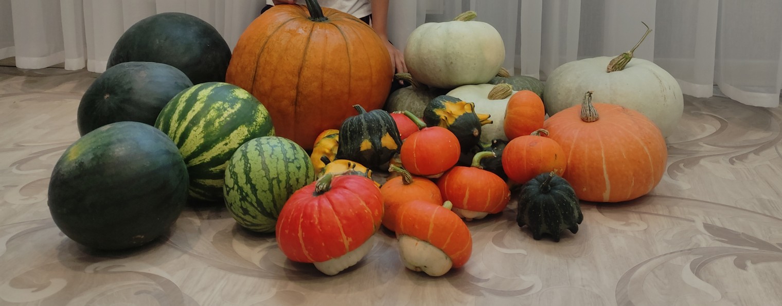 Дневник садовода