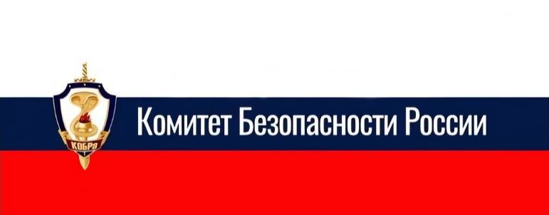 Комитет безопасности России