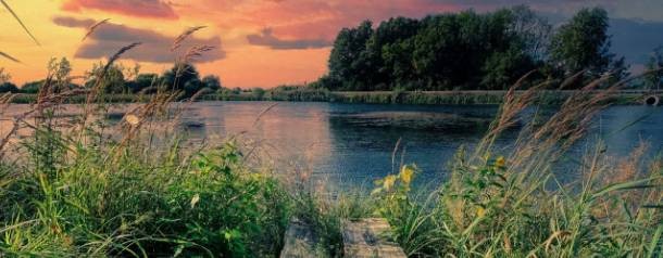 Будни Рыболова и Грибника