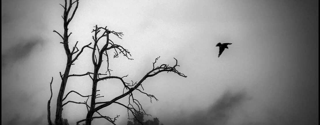 Бисероплетение Амигуруми 🧸