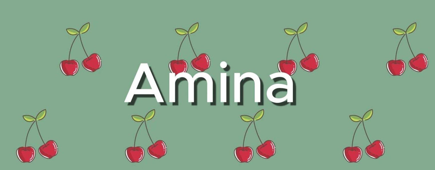 Aminka