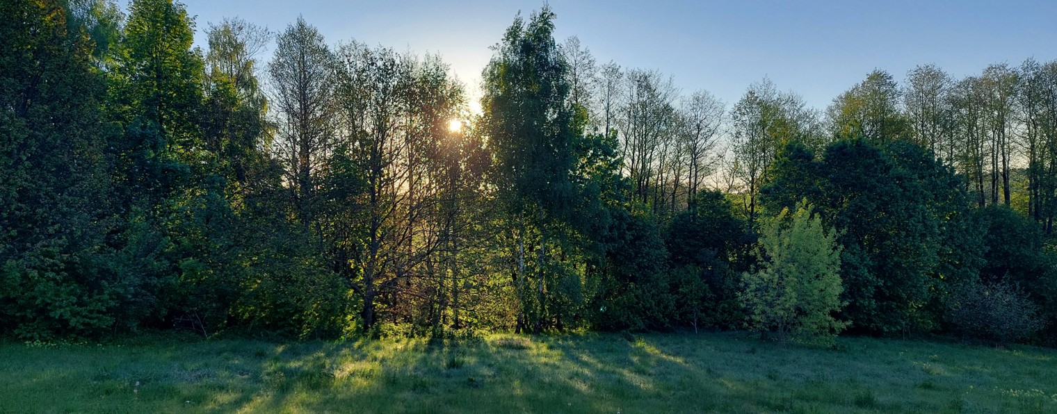 Валерий Колесников