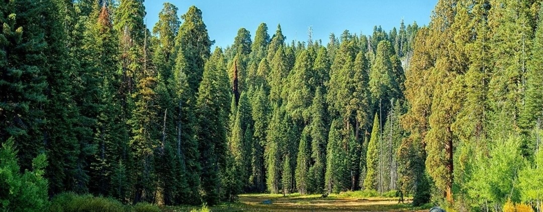 Своими руками. Отдых и труд.