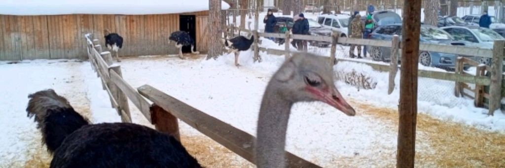 Дом 🏡 и огород