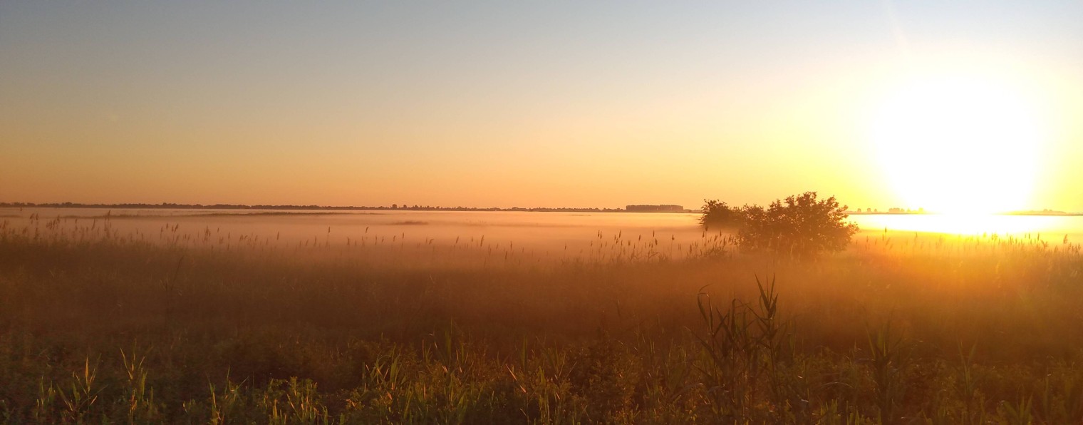 На крыльях мирового духа.