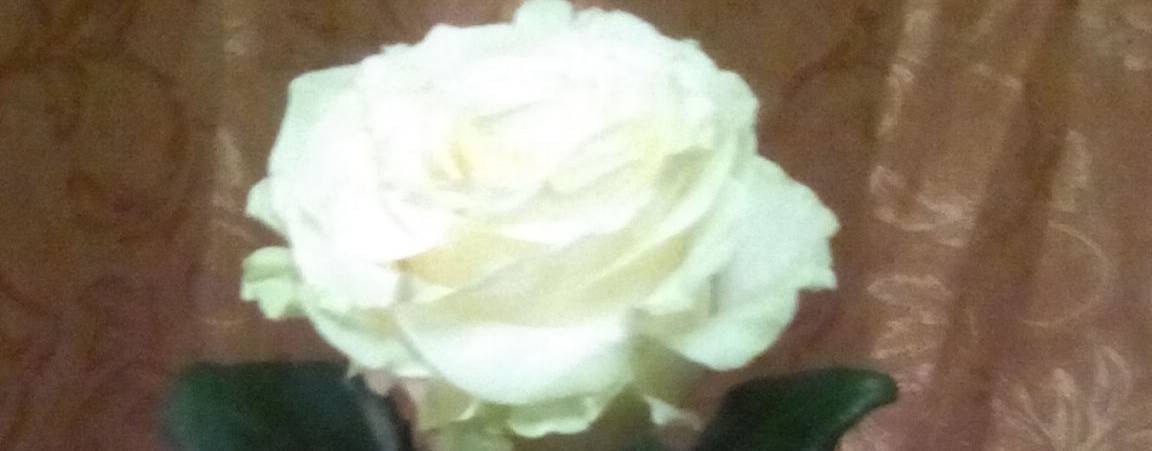 Просто Ольга