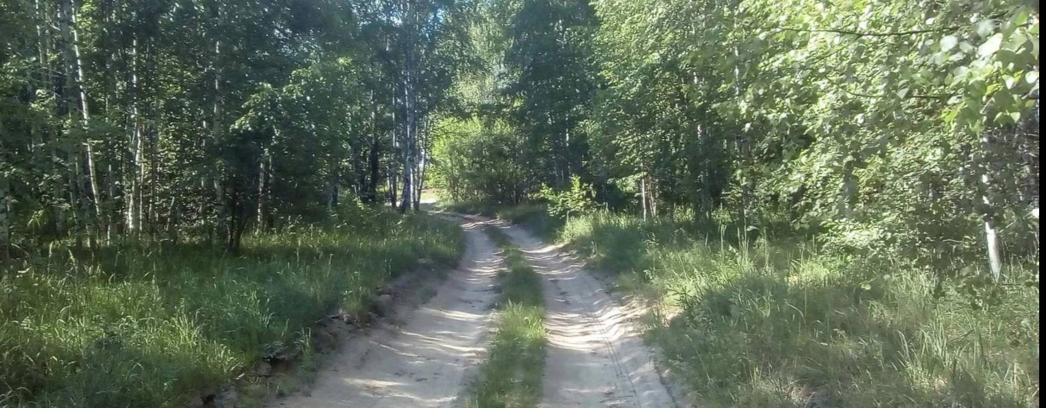 ЛЕКАРСТВЕННЫЕ ТРАВЫ