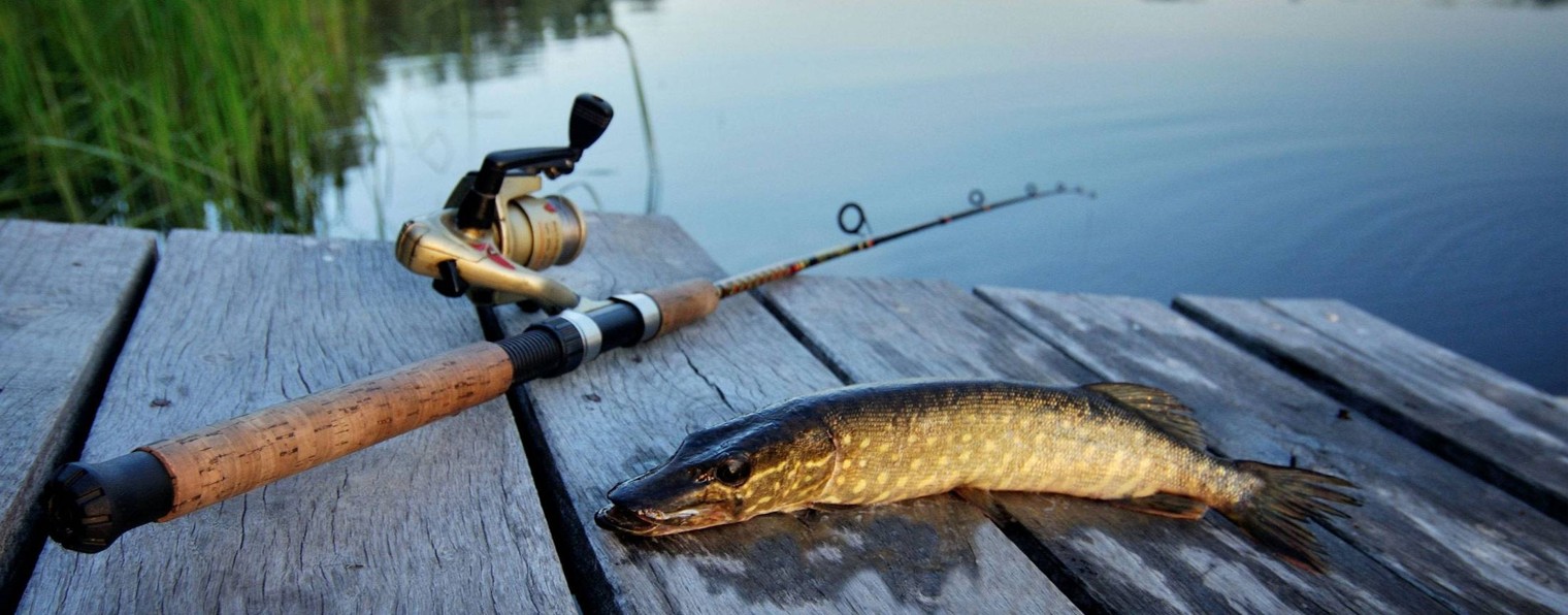 Рыбалка - GodFish