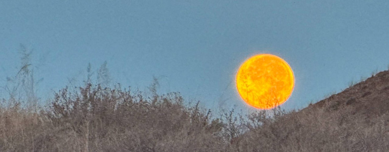 Ринчен Цултрим