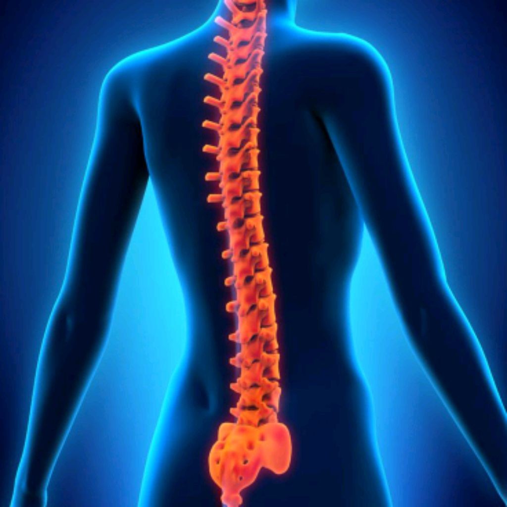 Мануальный терапевт Дмитрий Загорский