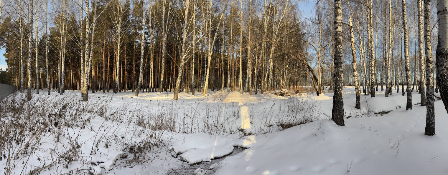 Оксана Яременко.Семейная ферма