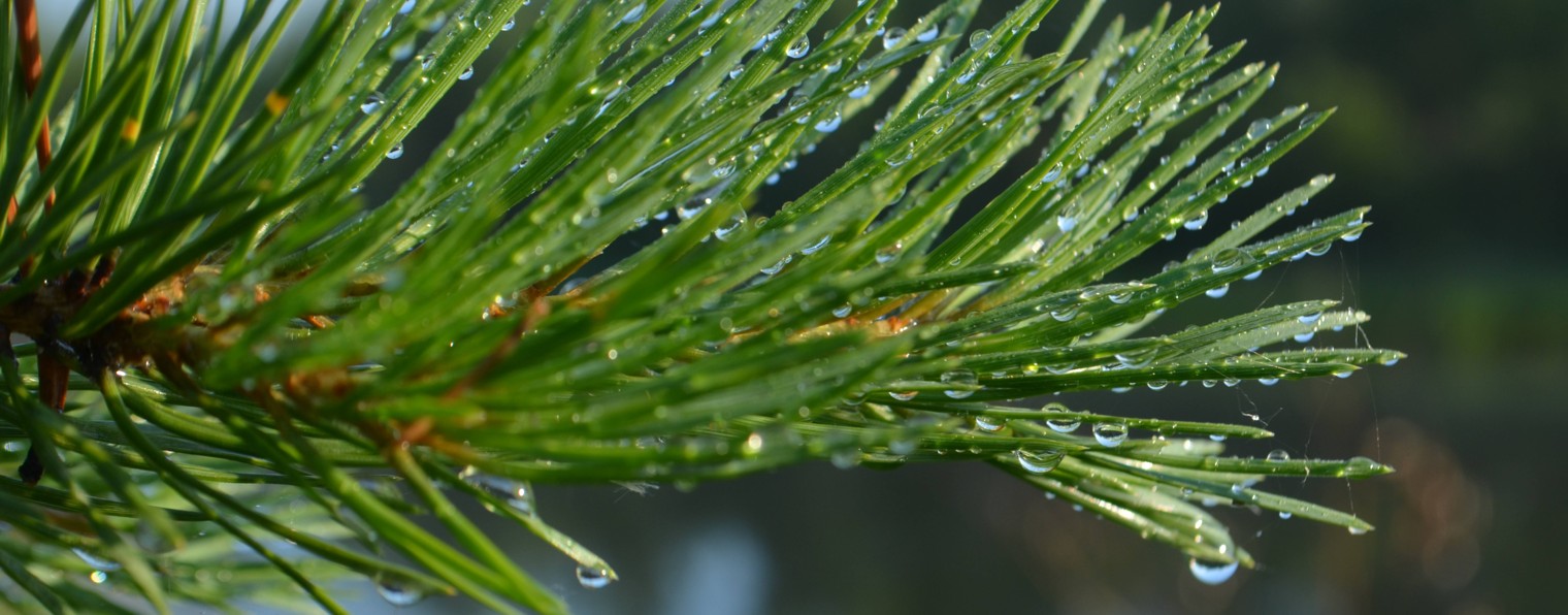 Узнай о Боге. Христианский канал для ангарчан.