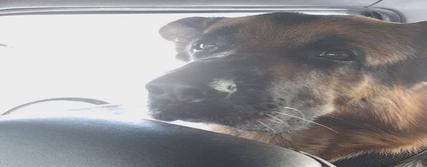 Сергей Логинов