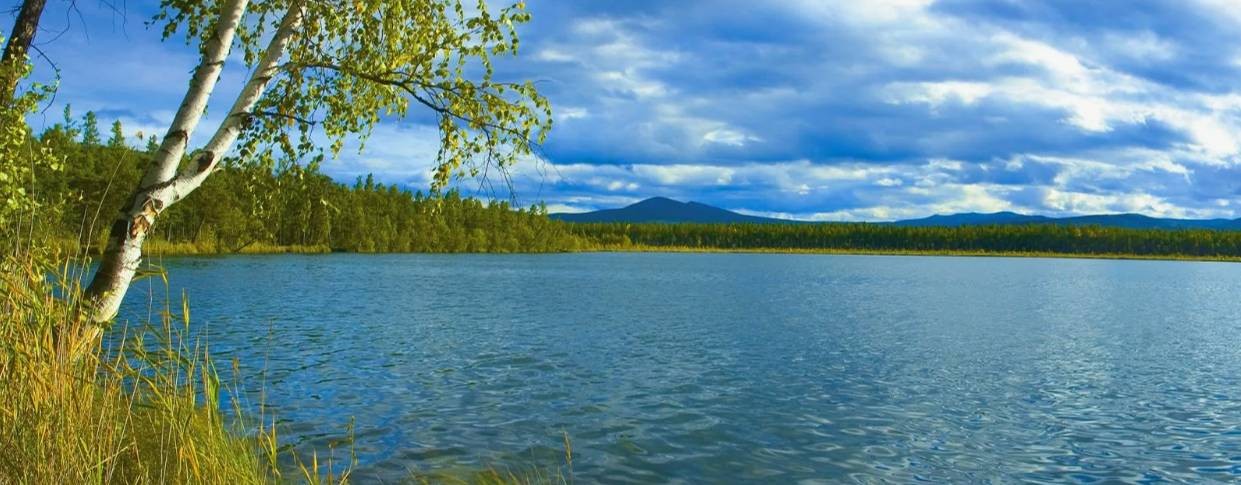 БЛЕСНА ЛАЙВ